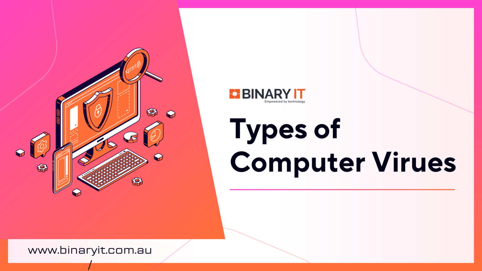 Common Types Of Computer Virus And How To Avoid Them Binary It 5851